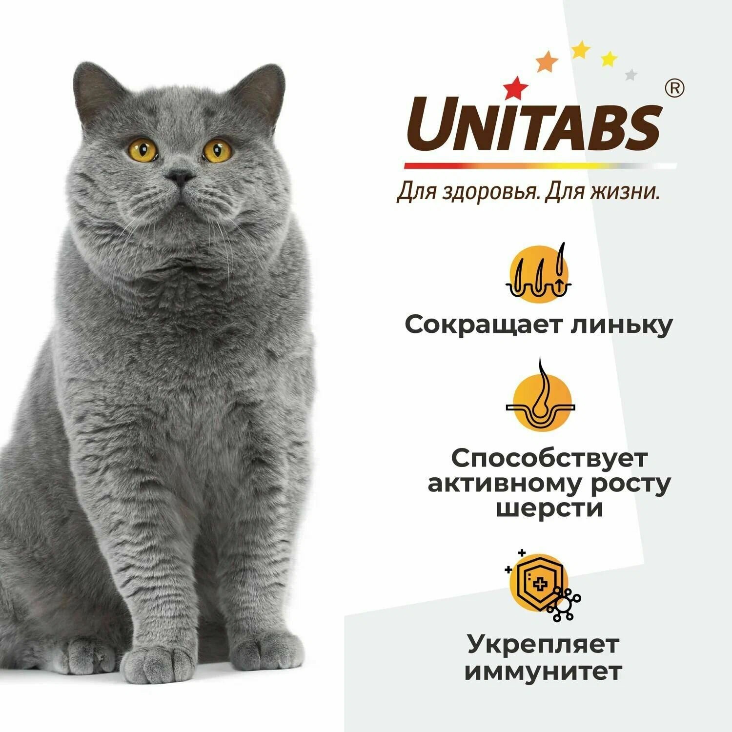 Витамины Unitabs для кошек Total, 20 мл — фото 1