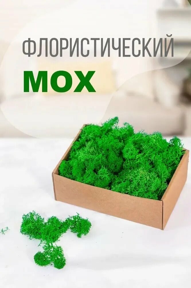 Сухоцветы Мох, 100 гр, 1 шт