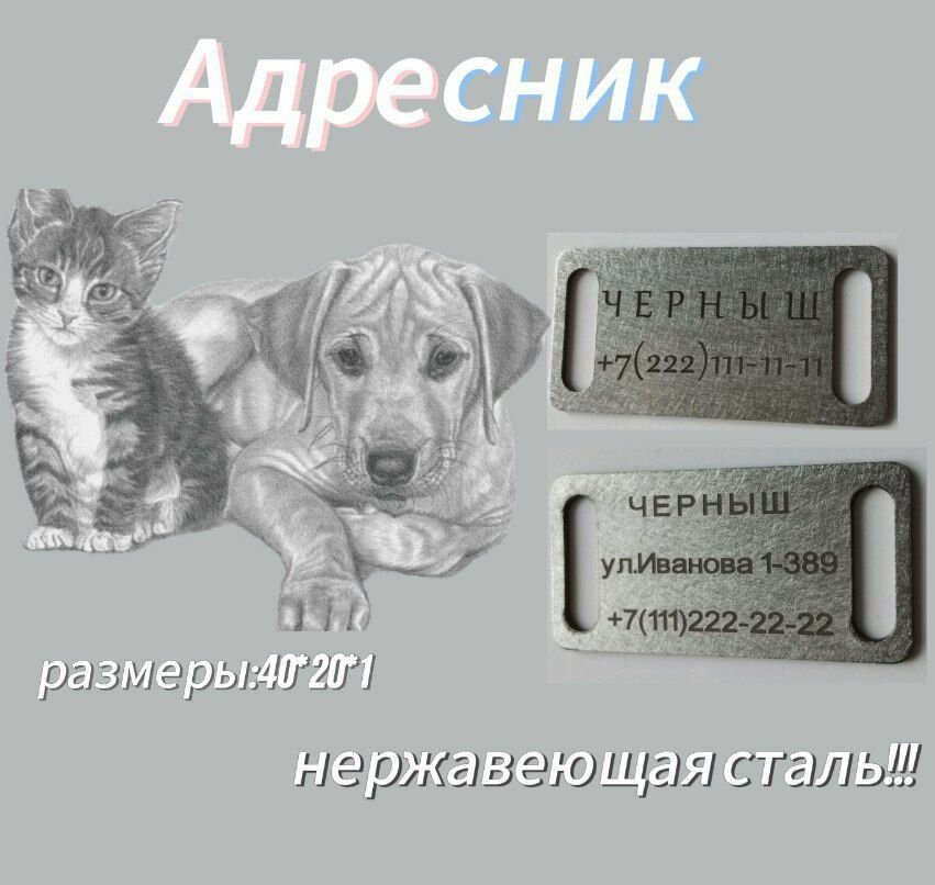 Адресник для кошек и маленьких собачек с гравировкой