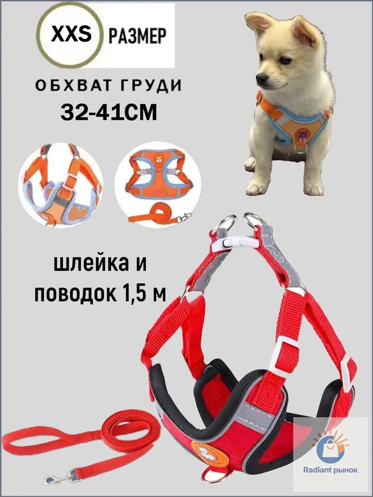 Шлейка для кошек с поводком, собак мелких пород. XXS. Обхват груди 32-41 см. красный
