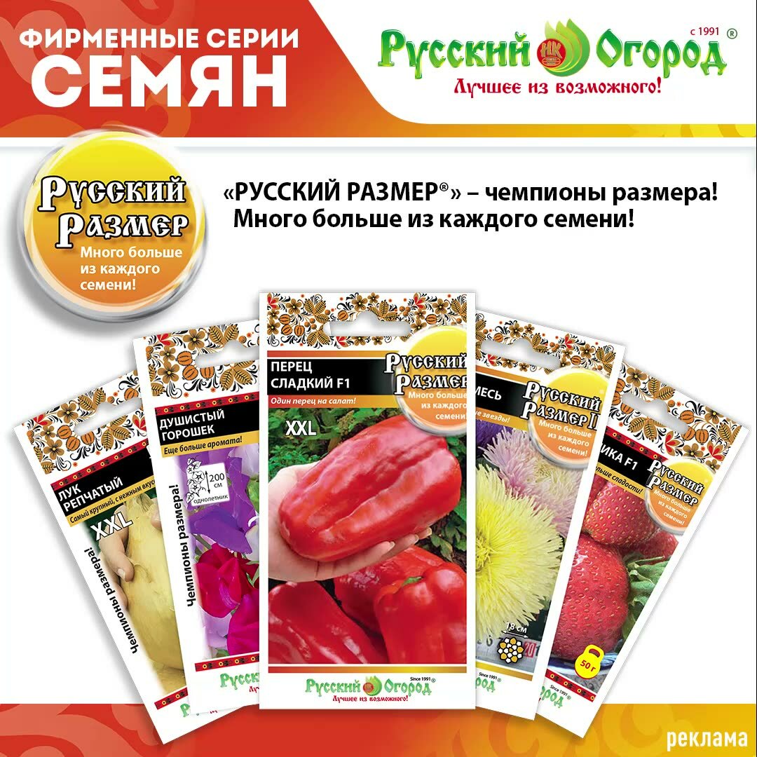 Семена Томат Маняша — фото 1