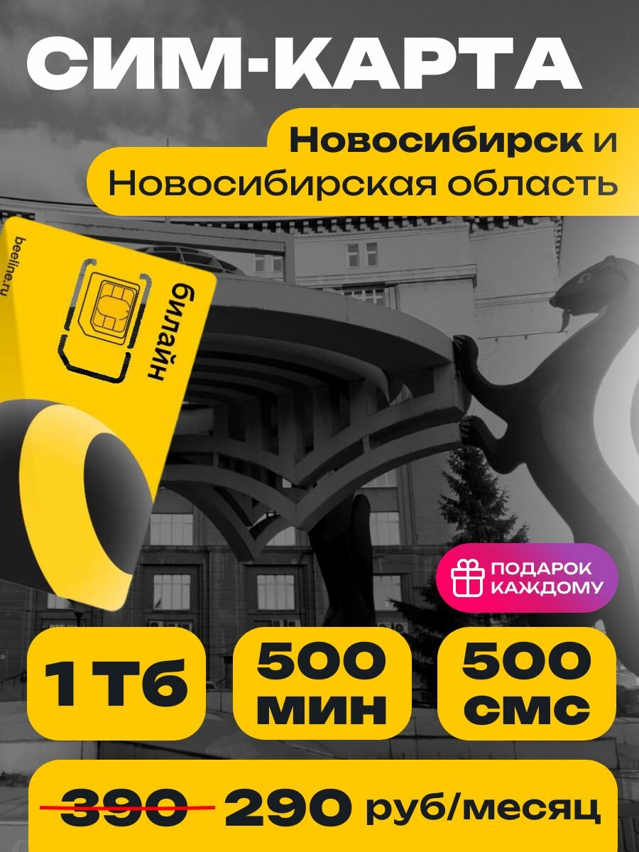 Сим-карта Билайн тариф Эксклюзивный Онлайн Лайт Новосибирская область 1024 Гб + 500 минут за 290 руб.