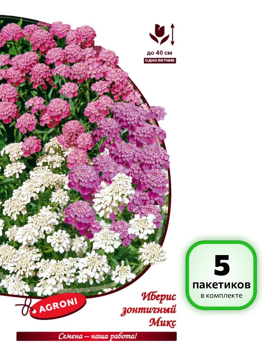 (5 шт.) - Семена Иберис зонтичный микс (0,1)