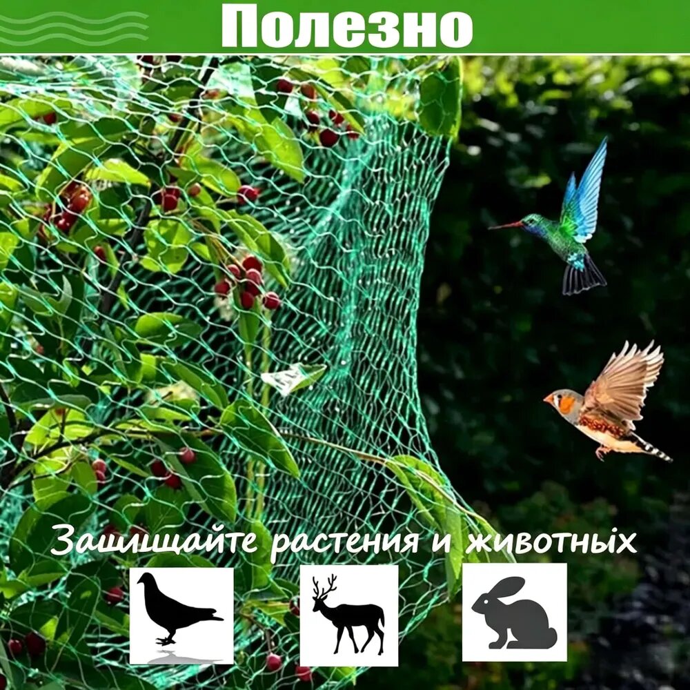 Сетка садовая,5х2м — фото 1