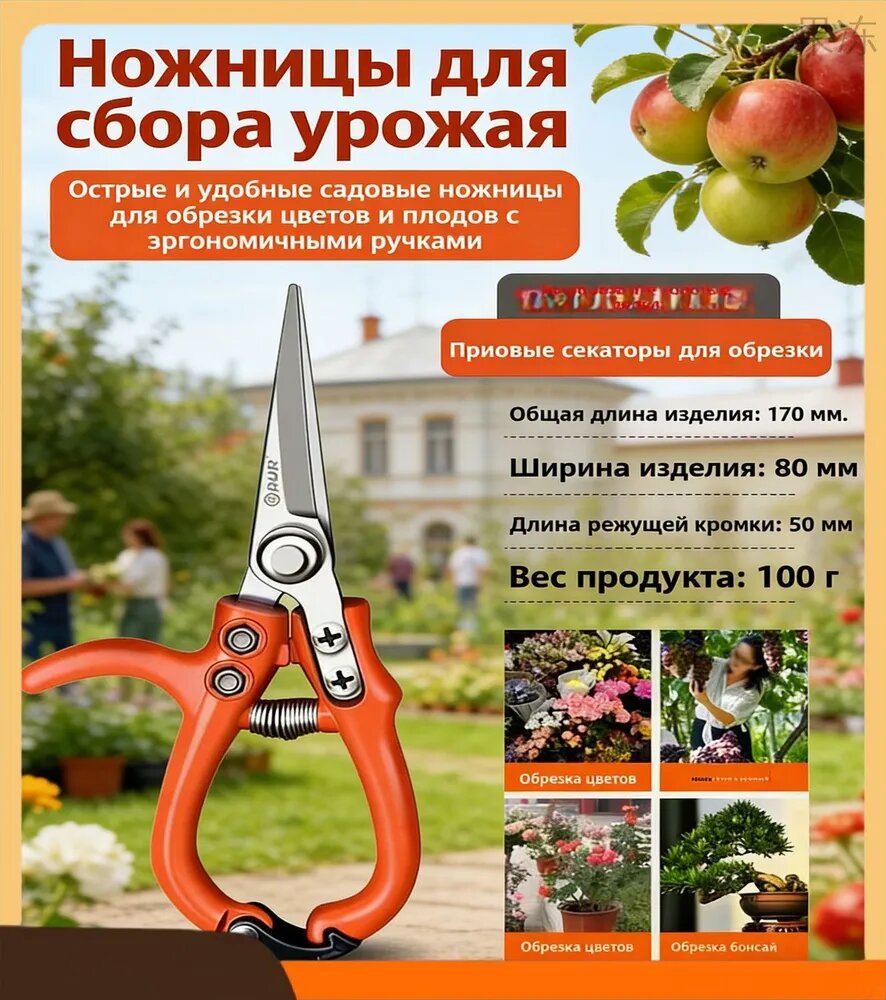 Секатор