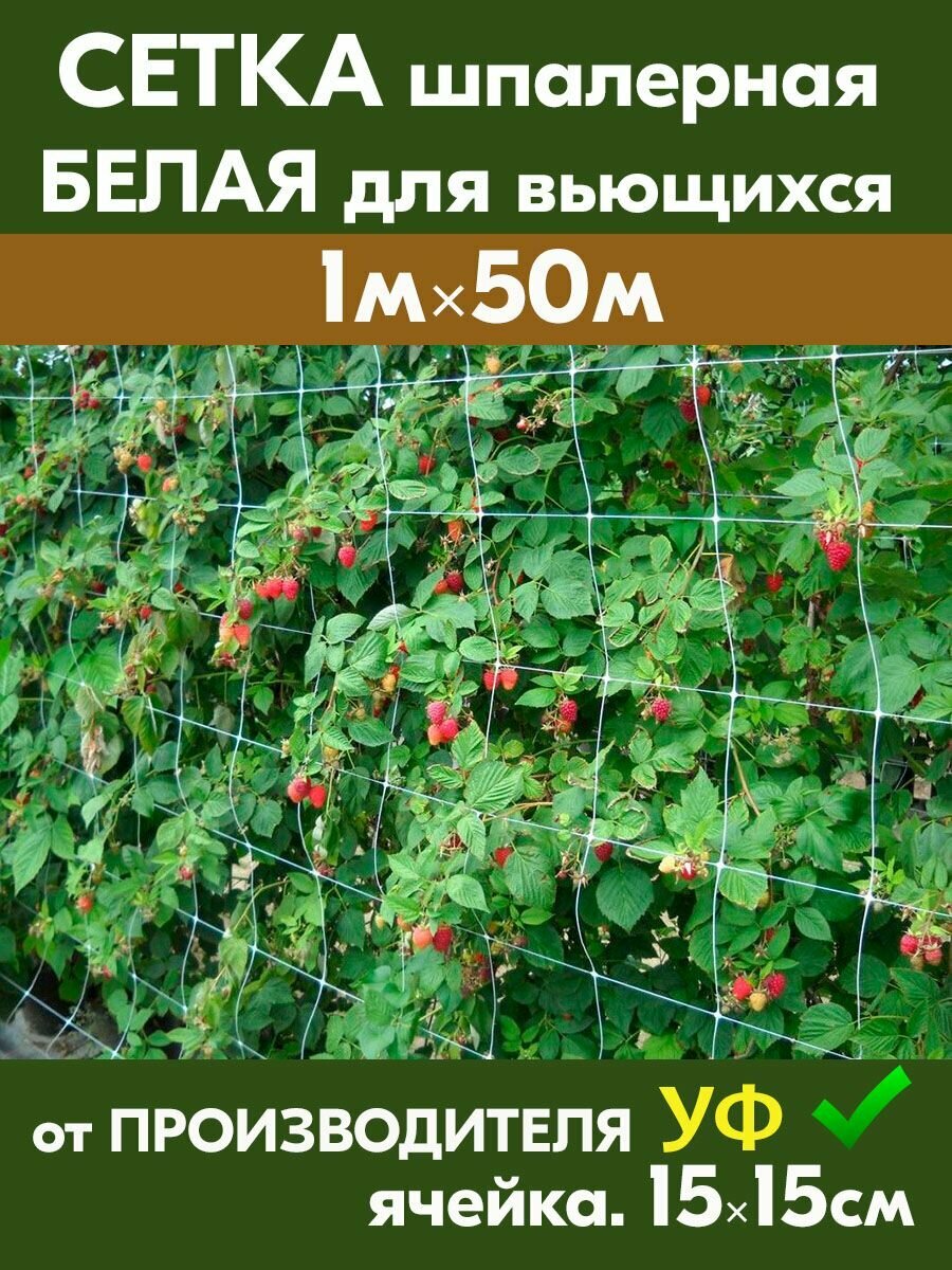 Сетка шпалерная для огурцов 1517см 1х50м белая подвязка для клематисов, гороха, вьющихся растений, для беседки, теплицы, грядок, пл.8г/м2 шпалерная сетка сетка для огурцов подвязка для растений садова