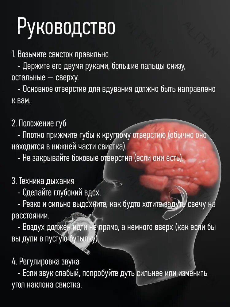 Флейта Aztec "Свисток смерти" - уникальный свисток в виде черепа, издающий жуткие звуки — фото 1