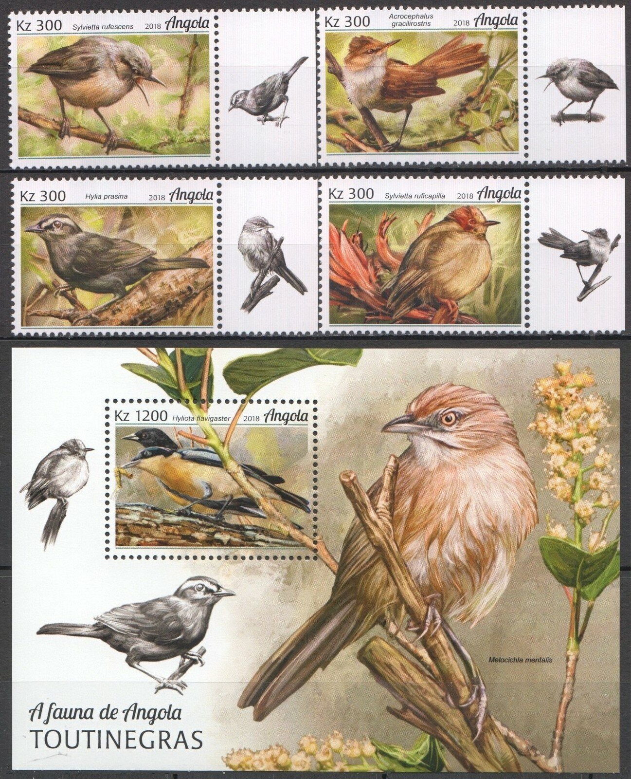Марки 2018 год Ангола Славки Птицы Фауна #1991-1994+Bl164 Mnh