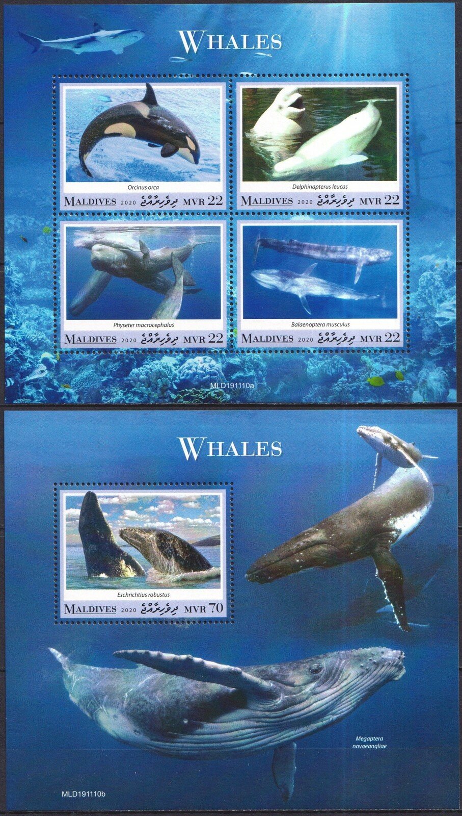 Марки 2019 год Мальдивы Киты Морская жизнь Фауна #8925-28+Bl1443 Mnh