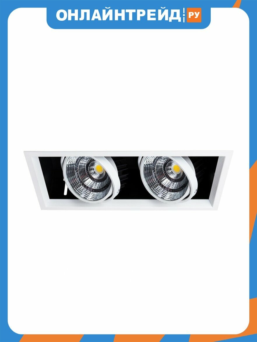 Встраиваемый светодиодный светильник Arte Lamp Merga A8450PL-2WH