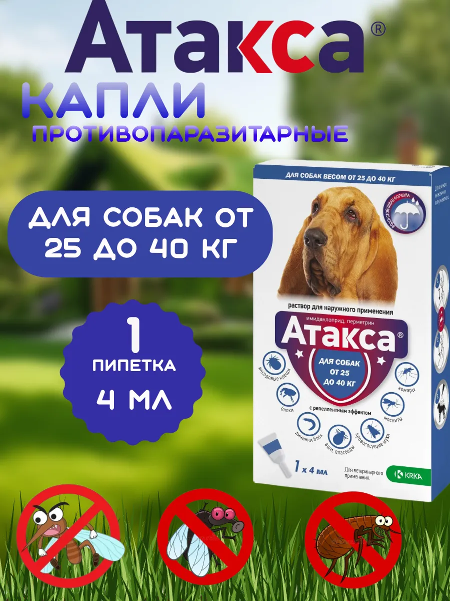 Атакса для собак от 25-40 кг 4 мл (1 пипетка)