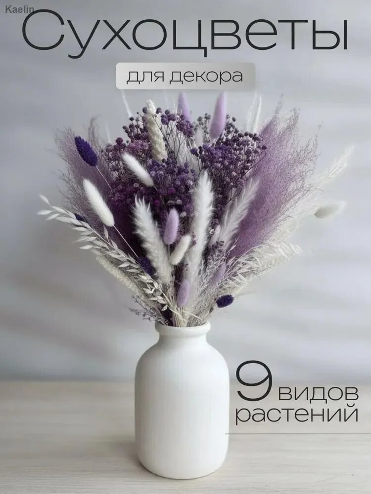 Сухоцветы Лагурус, Просо, 43 см