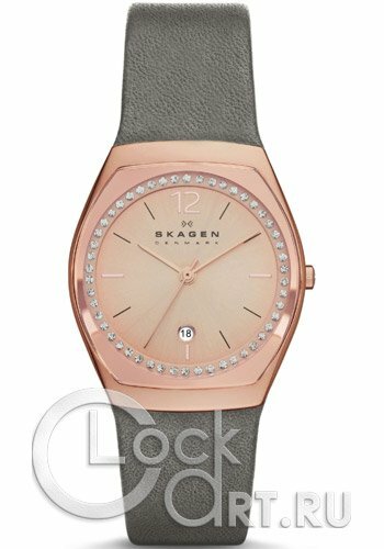 Наручные часы Skagen Leather Classic SKW2259