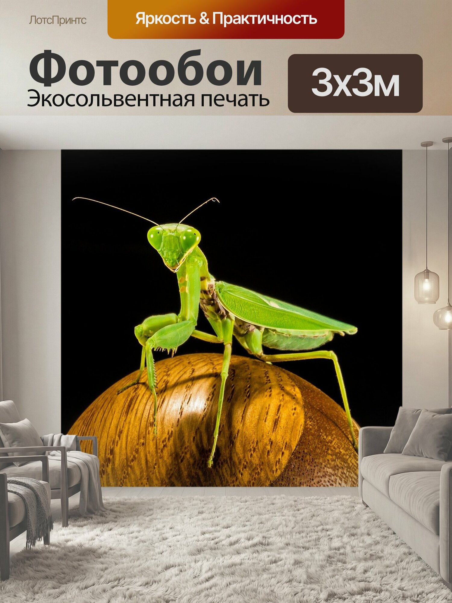 Фотообои "Богомол, ловля насекомых, зеленый" 300x300 см. экосольвентная печать