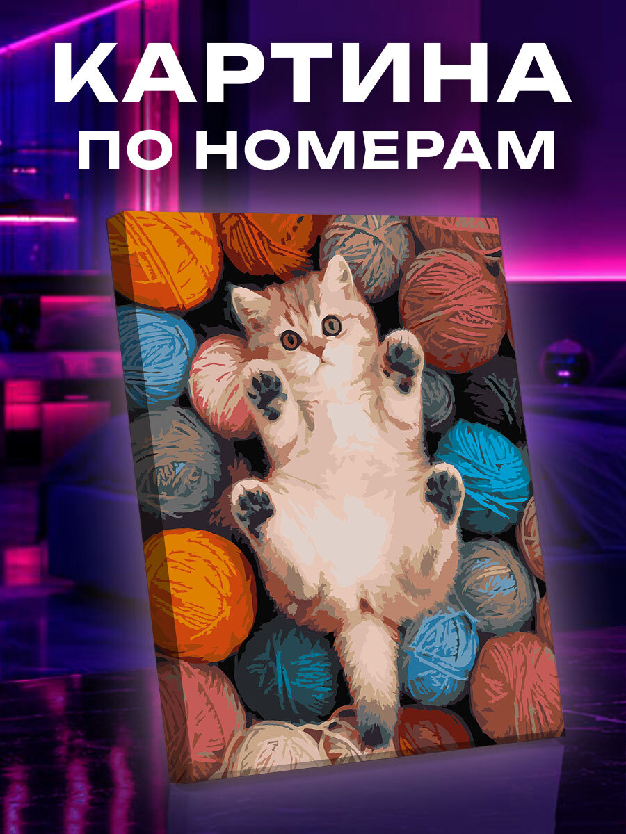 Картина по номерам Британский котенок в разноцветных клубках