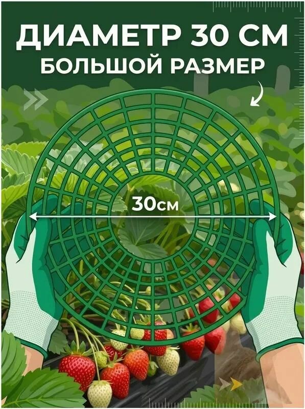 Шпалера,30см,10шт — фото 1