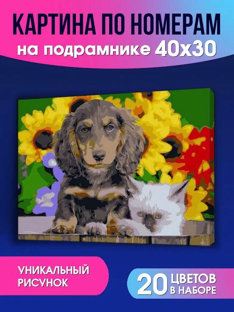 Картина по номерам 30х40см, собачка и котёнок в корытце, 20 цветов, акрил, холст на подрамнике