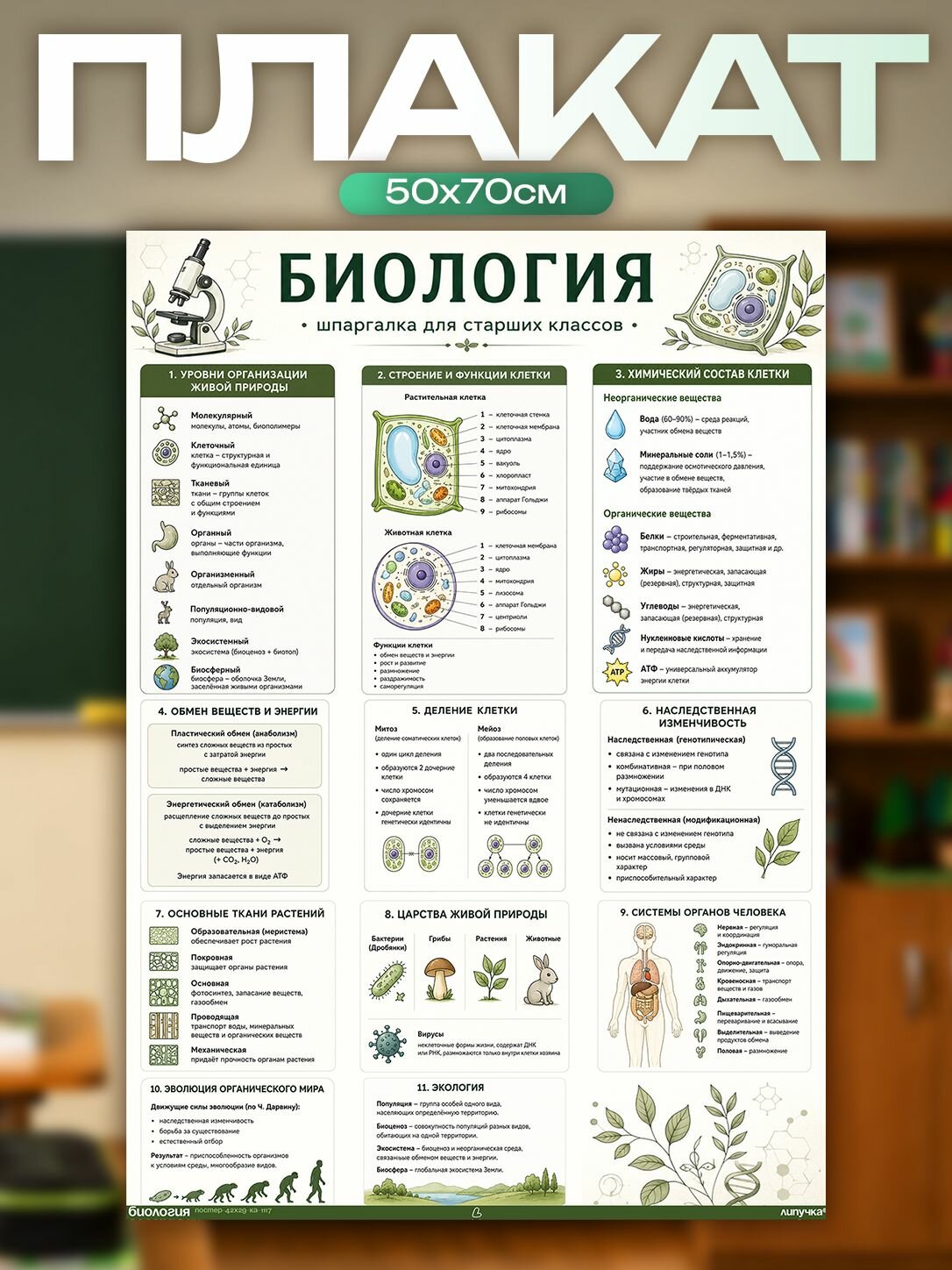 Постеры школьные Биология