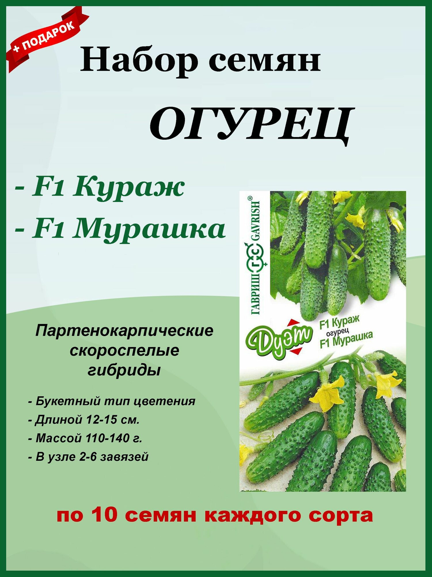 Семена огурцов самоопыляемые, Огурцы для теплиц и открытого грунта, набор Огурец Кураж F1 и Мурашка F1, по 10 семян каждого сорта для салатов и засолки, Гавриш для теплиц для открытого грунта для салатов для засолки