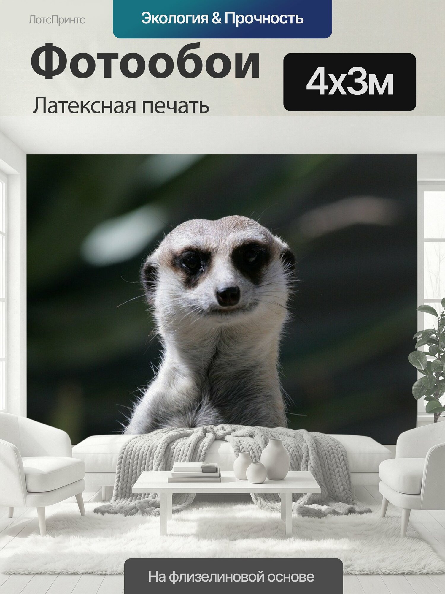 Фотообои моющиеся ударопрочные "Мангуст, мангуста, дикие животные" 400x300 см. латексная печать