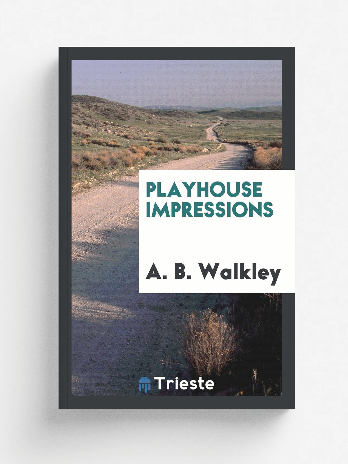 Playhouse impressions