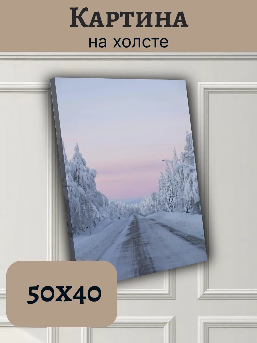 Картина Постер Швеция Sweden 40x50 зимний лесной пейзаж