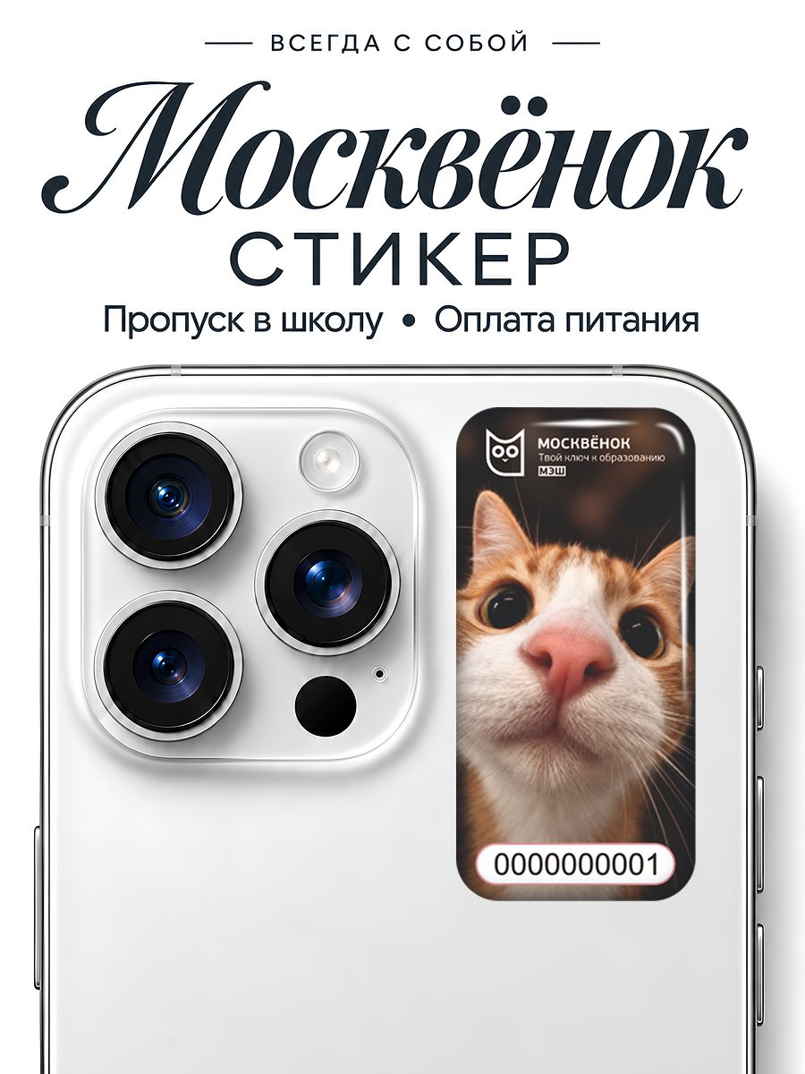 Стикер Москвёнок пропуск в школу