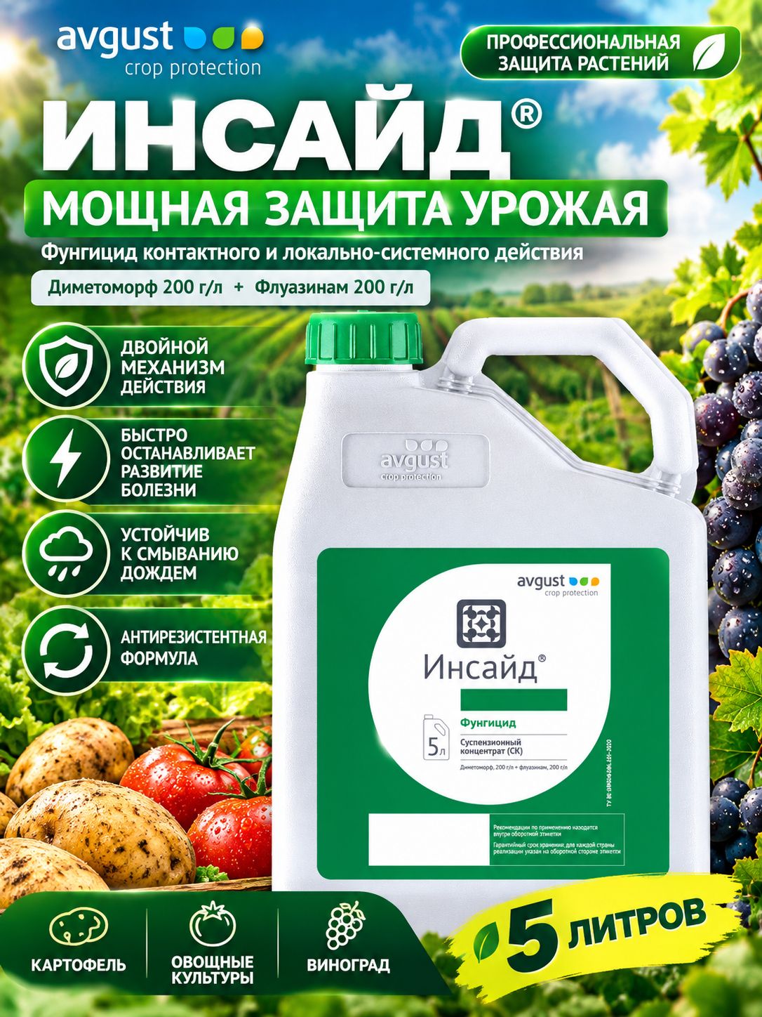 Пестицид Инсайд Диметоморф, 200 г/л + флуазинам, 200 г/л, СК фунгицид контактного и локально-системного действия, 5 л