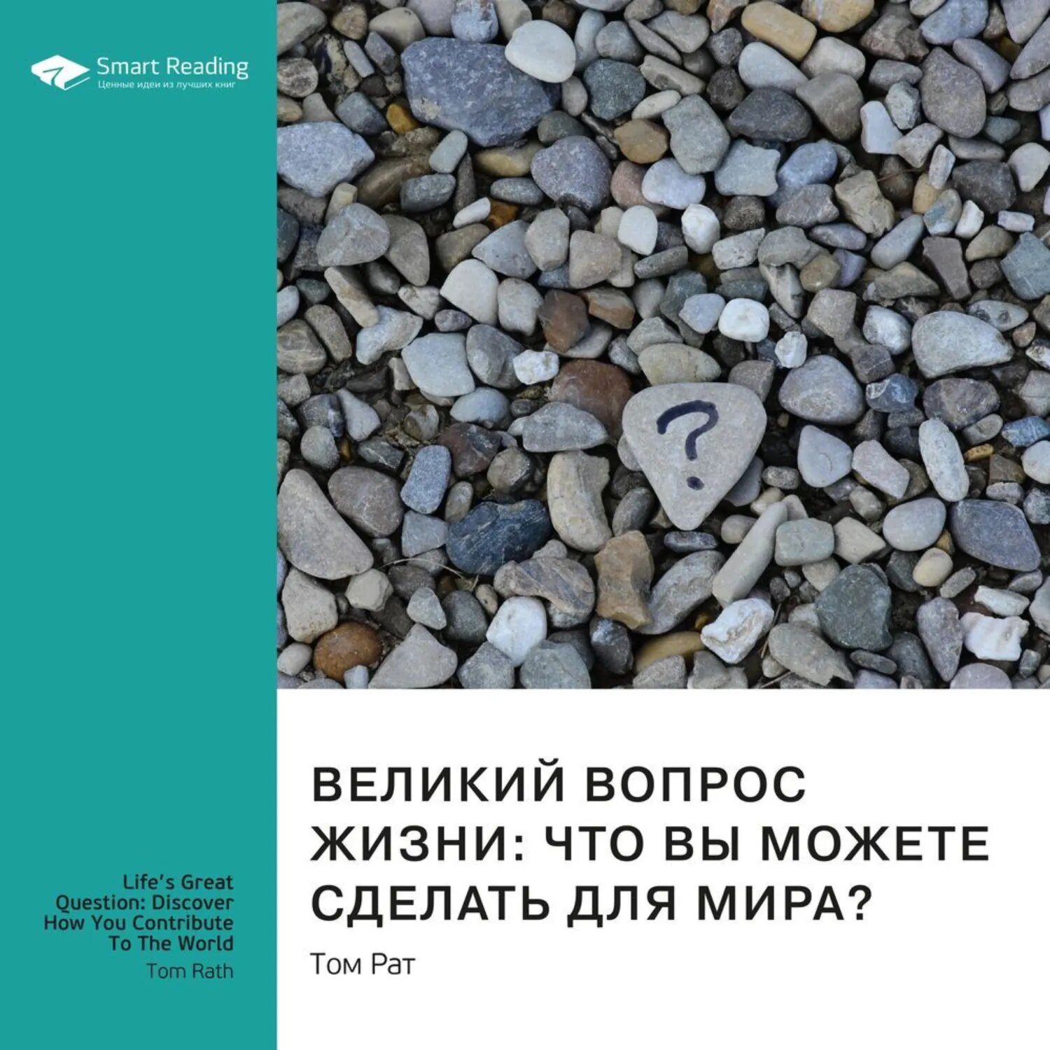 Ключевые идеи книги: Великий вопрос жизни: что вы можете сделать для мира? Том Рат [Аудиокнига]
