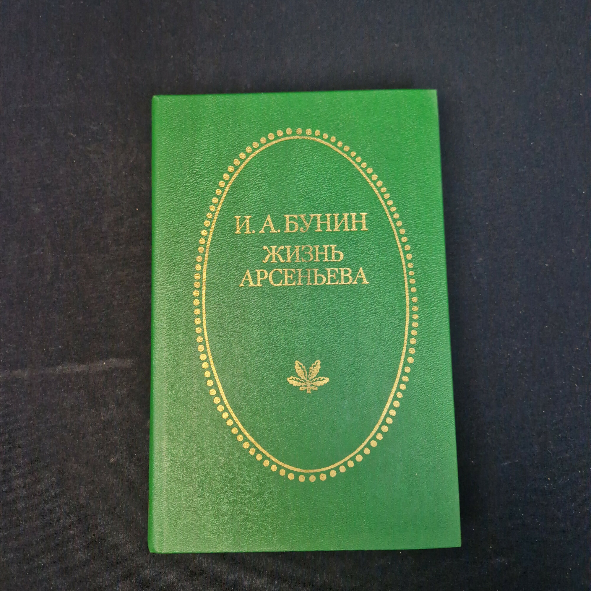 Иван Бунин. Жизнь Арсеньева. Книга, роман