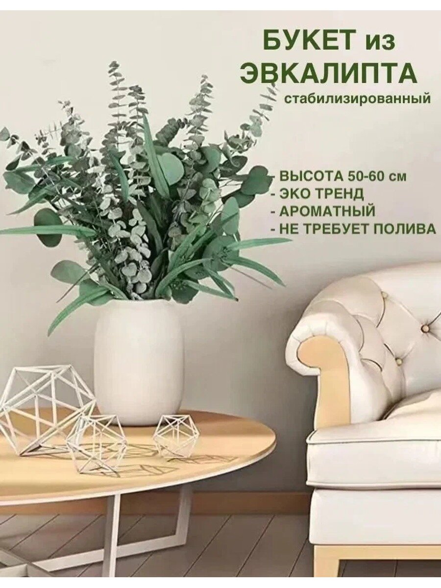 Сухоцветы Эвкалипт стабилизированный, темно-зеленый, высота 50-60 см, 300 гр, 1 шт