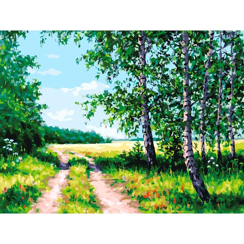 Картина по номерам Дикая Вишня 'Березы у дороги', 30x40см
