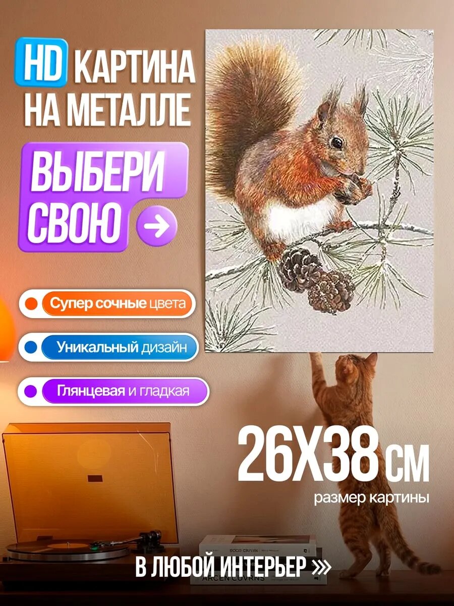 Картина на HD металле Белка на ветке