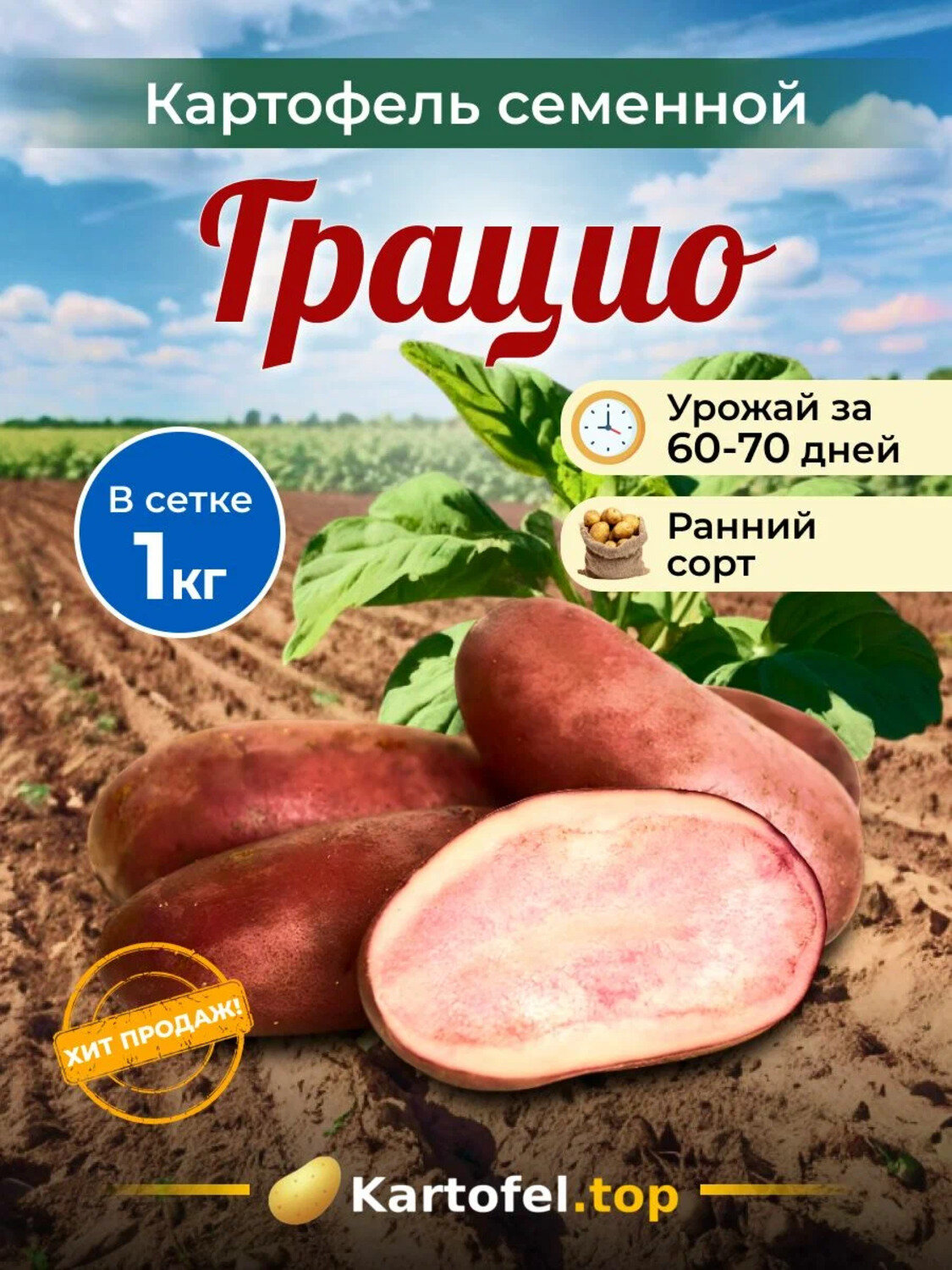 Картофель семенной клубни на посадку, саженцы "Грацио" элита (1 кг)