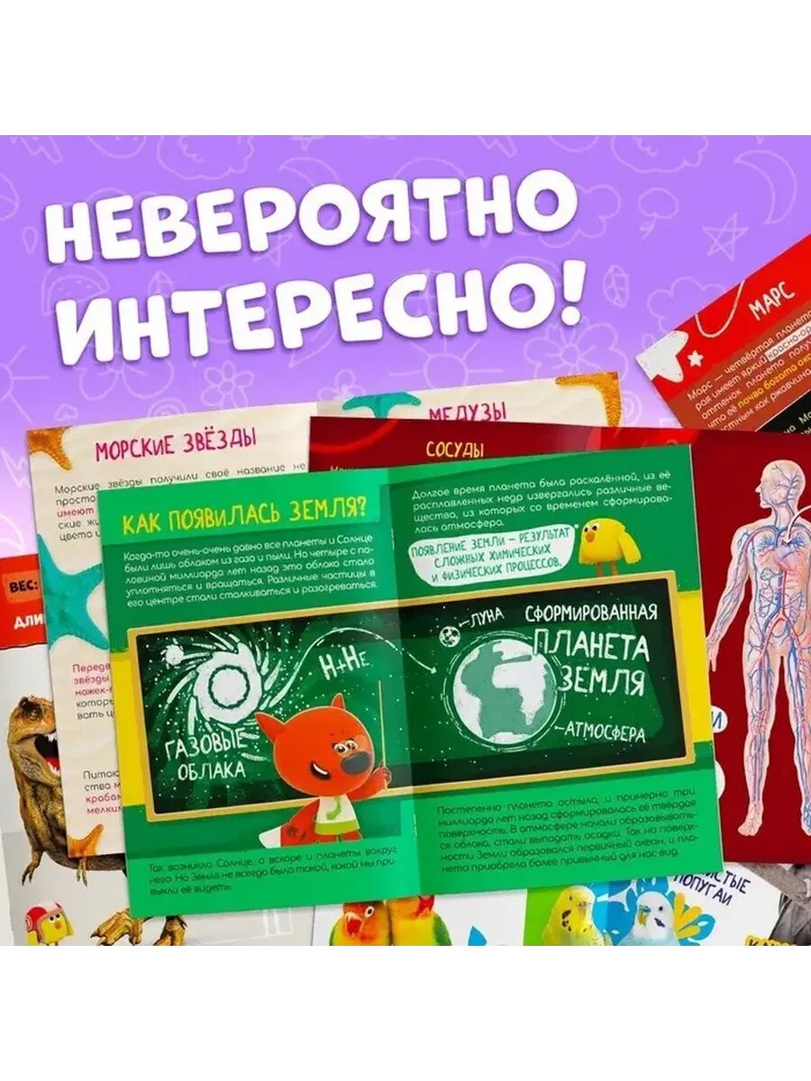 Образовательный набор