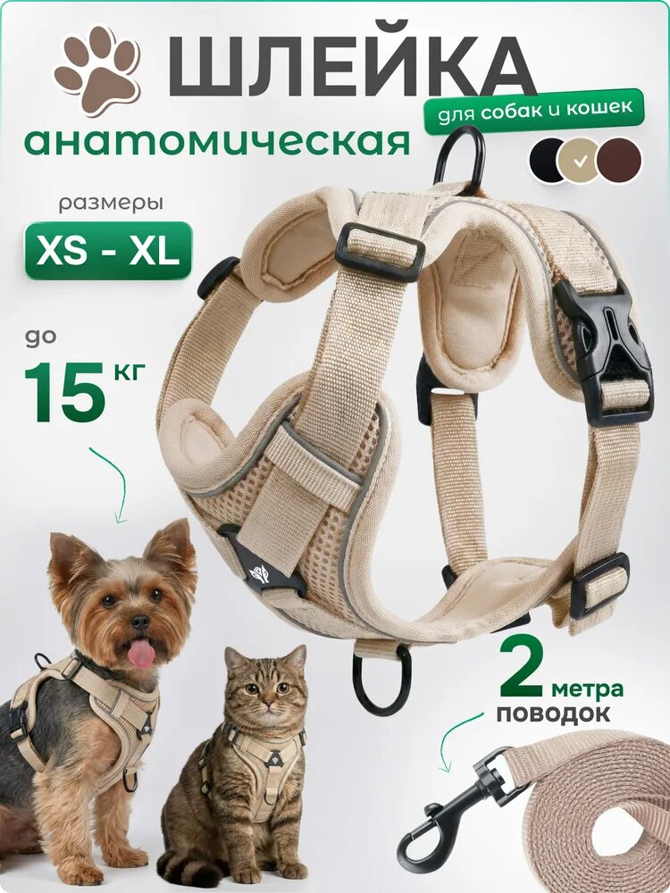 Шлейка для собак мелких средних пород и кошек с поводком