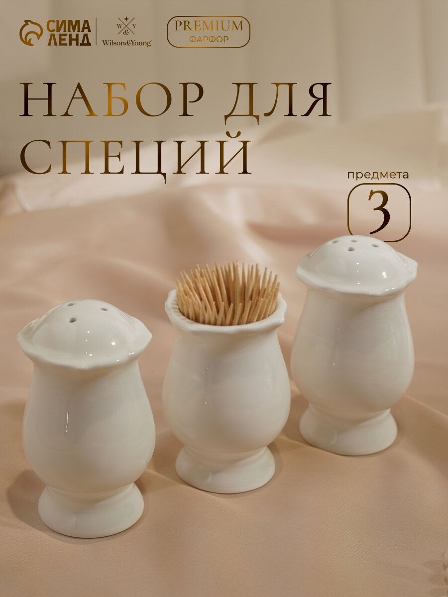 Набор для специй WY Renessans, 3 предмета: солонка, перечница, подставка для зубочисток, 60 мл, фарфор, белый