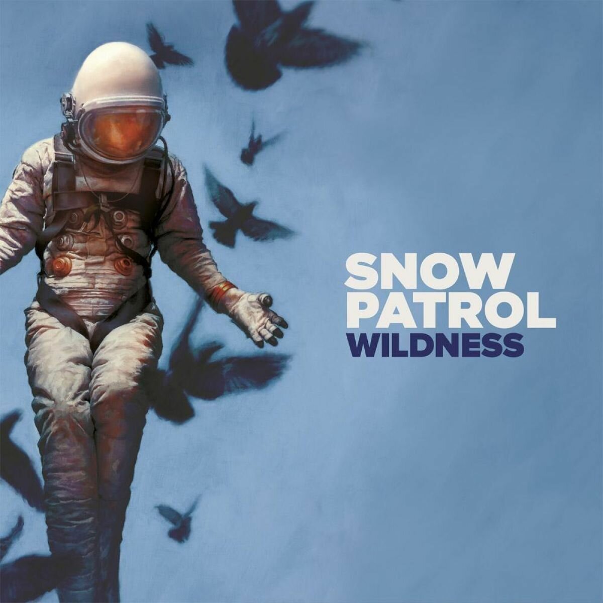 Виниловая пластинка Snow Patrol Wildness