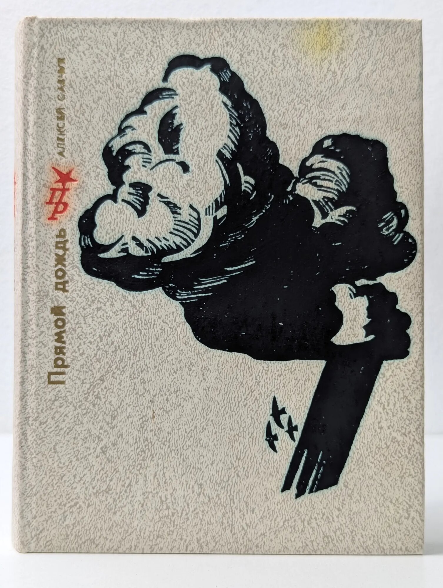 Пламенные революционеры. Прямой дождь Савчук Алексей Иванович 1980