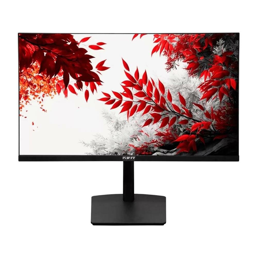 Монитор RDW Computers 31.5 RDW3207 черный IPS 1ms HDMI M/M HAS Piv 350cd 178гр/178гр 2560x1440 100Hz VGA DP QHD USB (RUS)