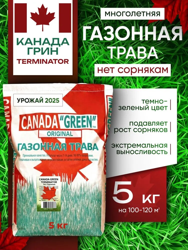 Газонная трава семена Канада Грин, травосмесь Нет сорнякам 5 кг / Canada Green Terminator 5 кг
