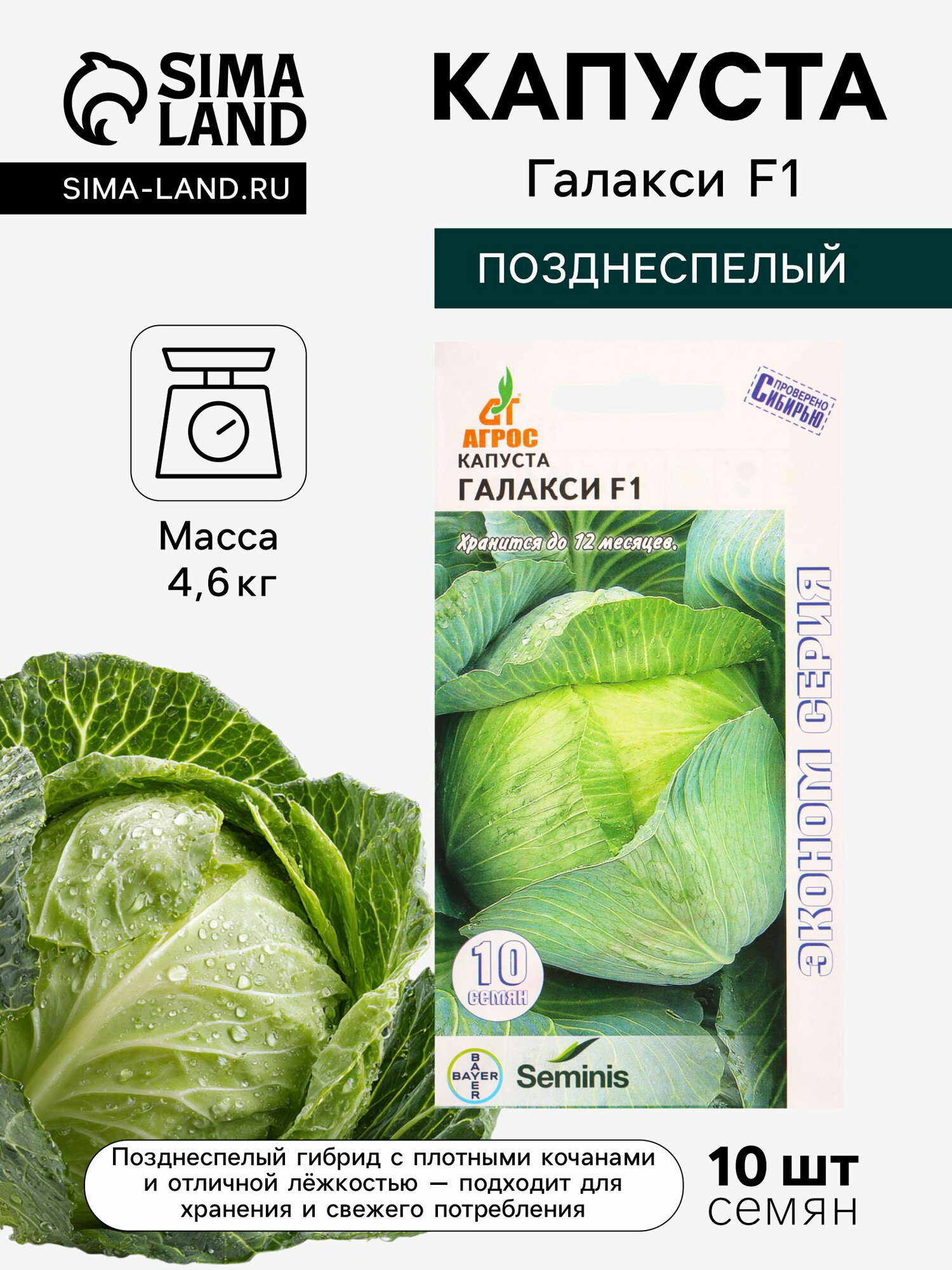 Семена Капуста "Галакси", F1, 10 шт, место выращивания: открытый грунт