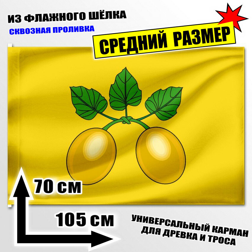 Флаг средний Сердобска 105x70 см