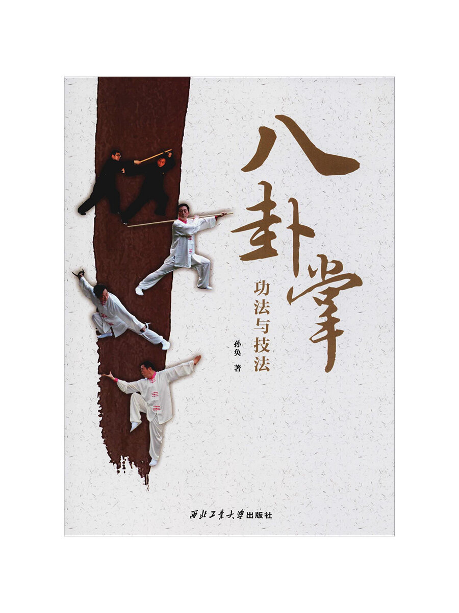 Книга по ушу Багвачжан методы и техники, автор Сун Хуань, ISBN 9787561262948, оригинальное китайское издание