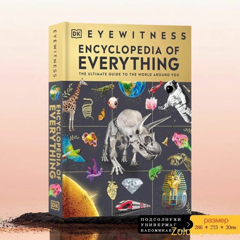Книга Энциклопедия Everything DK Eyewitness, твердый переплет
