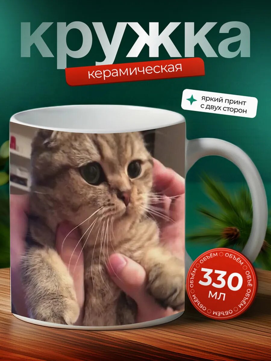 Кружка Шотландская вислоухая кошка 39,