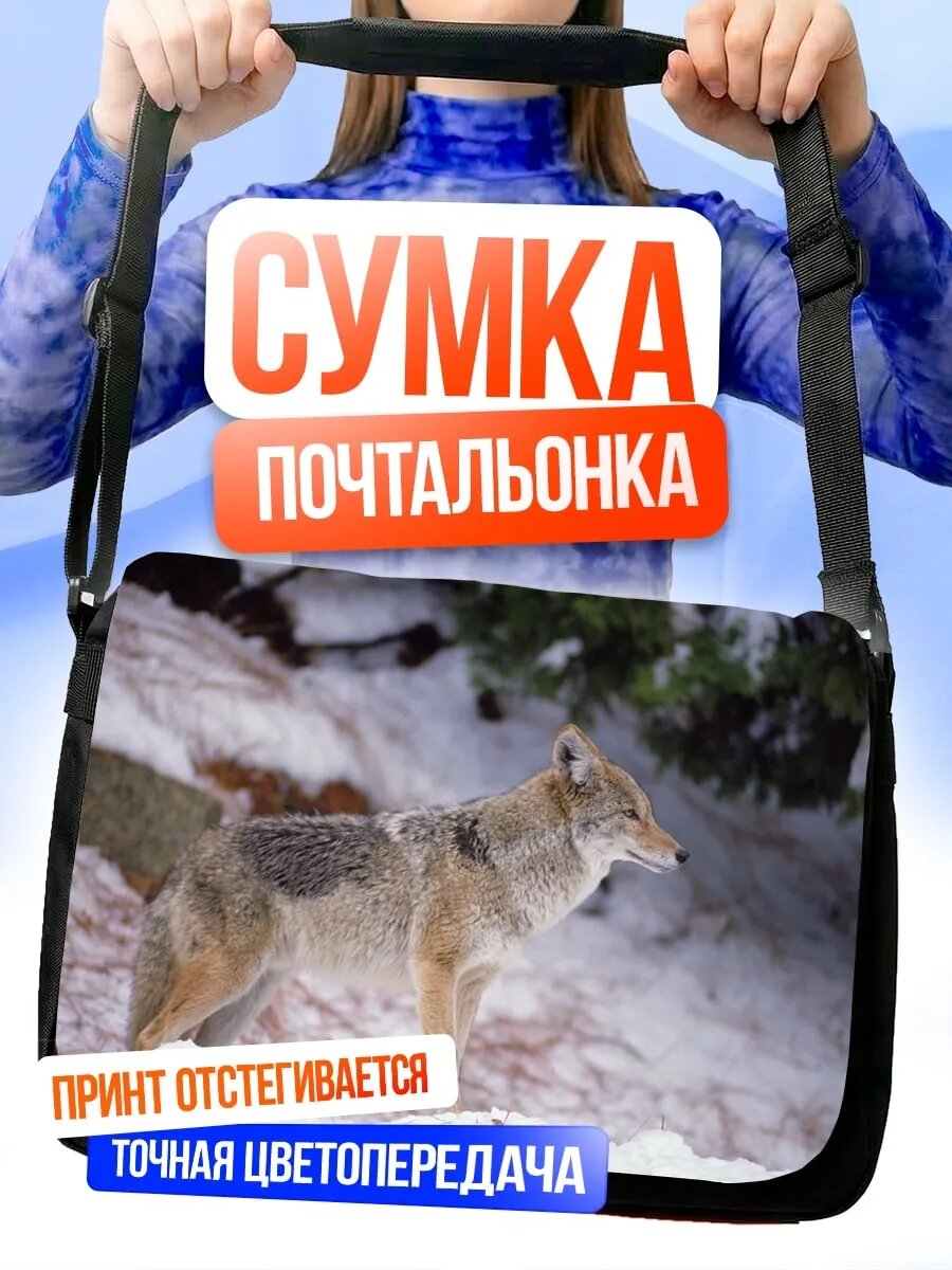 Сумка