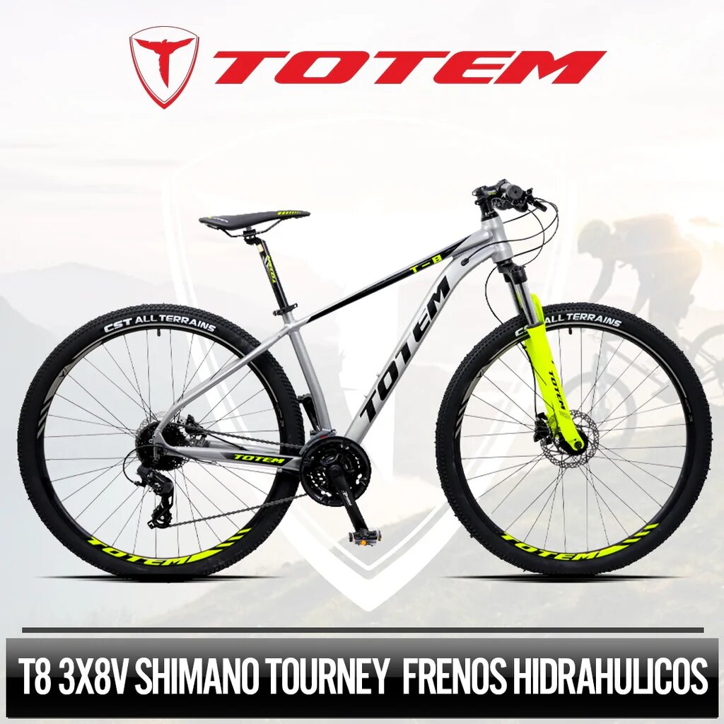 Totemsan106021