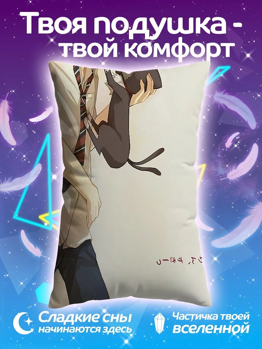Подушка дакимакура Парень с котом
