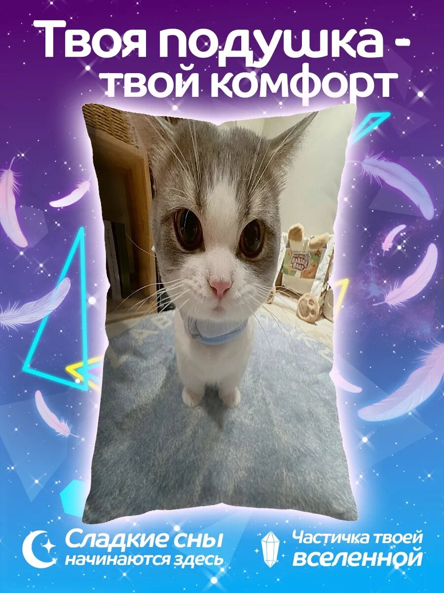 Подушка дакимакура Кот с большими глазами